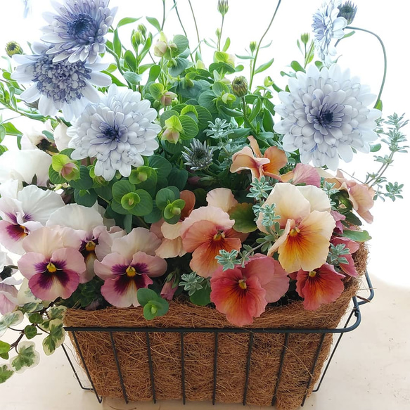 creema限定‼️『母の日ギフト2025 お任せ花材の手作りバスケットの寄せ植え＊*』 アートフラワー アイビー 通販 19171211｜Creema(クリーマ)