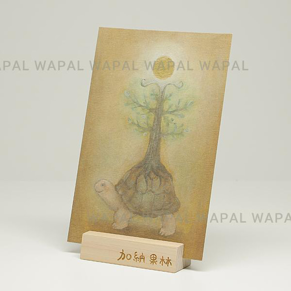 ポストカード おしゃれ かわいい「Turtle Plane」ハガキ 絵本作家 かのうかりん karin-post-048 イラスト ワパル ...