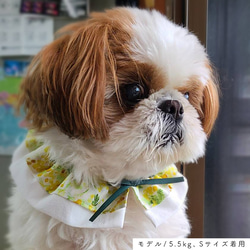 小型犬用まんまるスタイ/花柄 Sサイズ n-0196シリーズ ペット服・アクセサリー mirai 通販 19189978｜Creema(クリーマ)