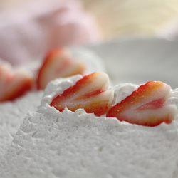 【ばねポーチ小】サンドイッチ いちご＆クリーム ポーチ Fairy and You 通販 19207270｜Creema(クリーマ)