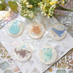 海のカボション☆5個 x51 マリン/サメ/海ガメ/クジラ/シャチ/マンボウ/ボタン ボタン こうちゃんぱんだ 通販 19213394 ...