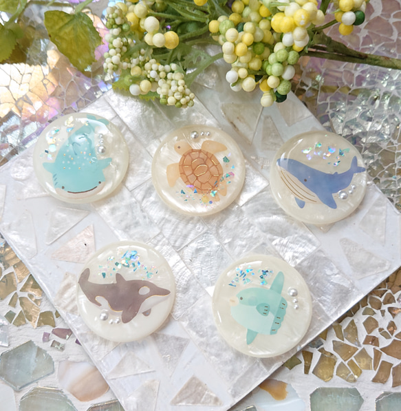 海のカボション☆5個 x51 マリン/サメ/海ガメ/クジラ/シャチ/マンボウ/ボタン ボタン こうちゃんぱんだ 通販 19213394 ...