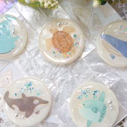 海のカボション☆5個 x51 マリン/サメ/海ガメ/クジラ/シャチ/マンボウ/ボタン ボタン こうちゃんぱんだ 通販 19213394 ...