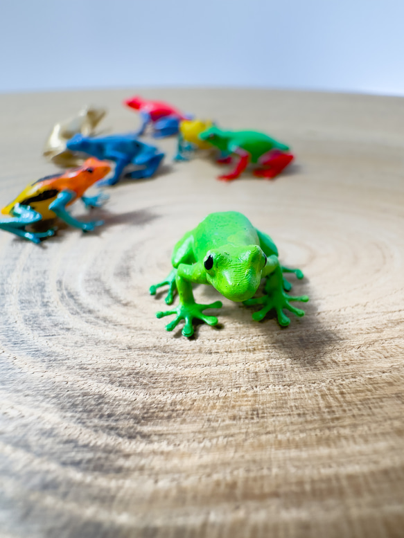 苔の中に、ちょこん。「かえるさん」 その他素材 ぽてまつこ/tonarium 通販 19252141｜Creema(クリーマ)