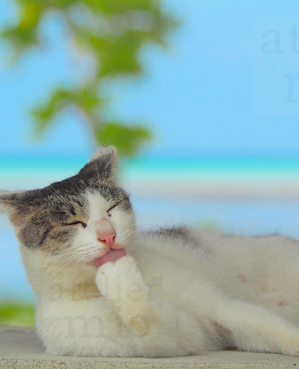 Relax Beach 写真・グラフィック atelier mio 通販 19258626｜Creema(クリーマ)