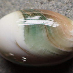 沖縄産夜光貝 穴なしパーツ オーバル型 9㎜厚 その他アクセサリー happymarin 通販 19330002｜Creema(クリーマ)