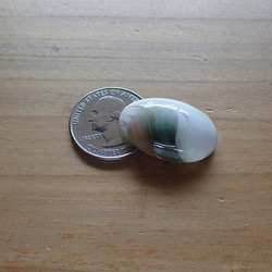 沖縄産夜光貝 穴なしパーツ オーバル型 9㎜厚 その他アクセサリー happymarin 通販 19330002｜Creema(クリーマ)