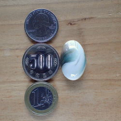 沖縄産夜光貝 穴なしパーツ オーバル型 9㎜厚 その他アクセサリー happymarin 通販 19330002｜Creema(クリーマ)