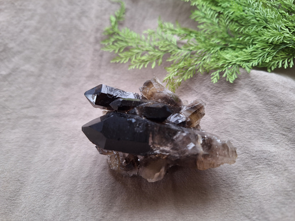 アーカンソー州産 モリオン （黒水晶）クラスター ⑩ その他インテリア雑貨 Clear 通販 19351951｜Creema(クリーマ)