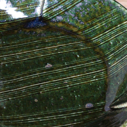 【張り合わせパスタ・カレー】sa205 美味しい 人気 おしゃれ 素敵 かわいい 誕生日 プレゼント 陶芸 大皿 また壱陶房 通販 ...