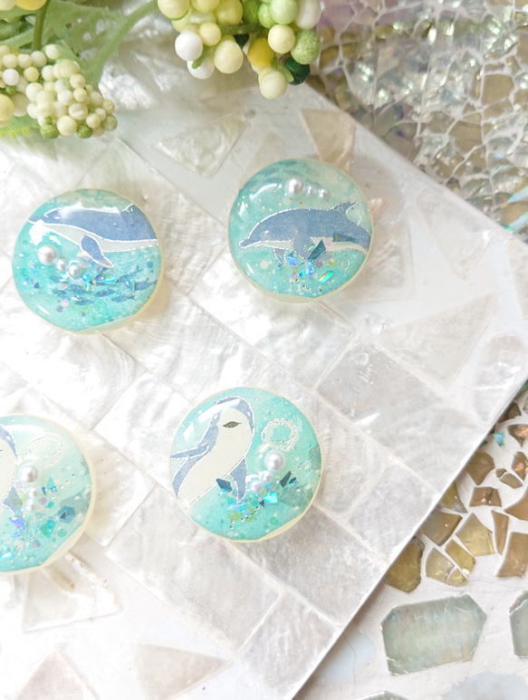 イルカのボタン☆5個 y26 イルカ/海/ボタン ボタン こうちゃんぱんだ 通販 19366314｜Creema(クリーマ)