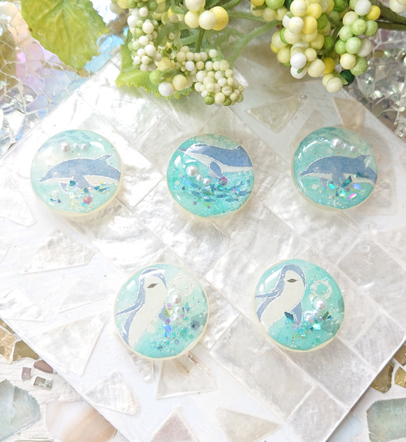 イルカのボタン☆5個 y26 イルカ/海/ボタン ボタン こうちゃんぱんだ 通販 19366314｜Creema(クリーマ)
