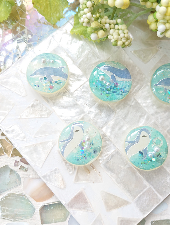 イルカのボタン☆5個 y26 イルカ/海/ボタン ボタン こうちゃんぱんだ 通販 19366314｜Creema(クリーマ)