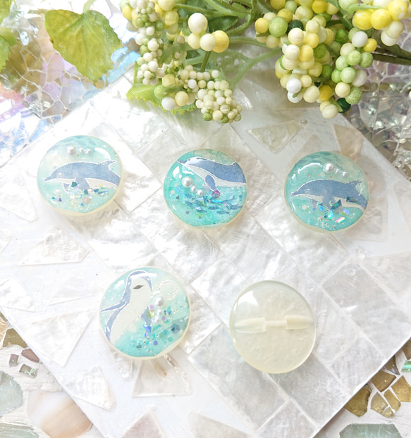 イルカのボタン☆5個 y26 イルカ/海/ボタン ボタン こうちゃんぱんだ 通販 19366314｜Creema(クリーマ)