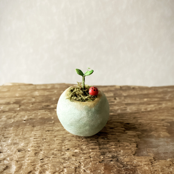 9577.bud 粘土の鉢植え てんとう虫 その他インテリア雑貨 bud 通販 19366693｜Creema(クリーマ)