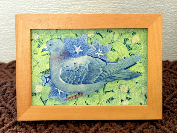 鳩とキキョウ 絵画 moma 通販 19370139｜Creema(クリーマ)