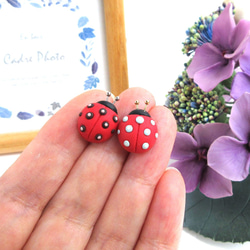 【受注制作】幸運のシンボルてんとう虫（Ladybug）のピンバッチ。【Creema限定】ポリマークレイ ピンバッチ Myu 通販 ...