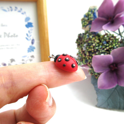 【受注制作】幸運のシンボルてんとう虫（Ladybug）のピンバッチ。【Creema限定】ポリマークレイ ピンバッチ Myu 通販 ...