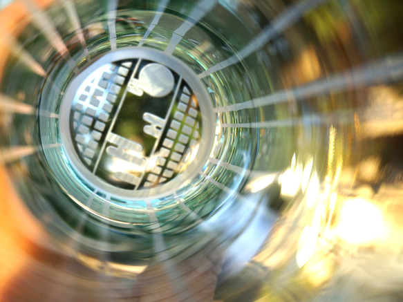 竹林と蛍火のコリンズグラス【Citrus】 グラス crafterior [ｸﾗﾌﾃﾘｱ] 通販 19418968｜Creema(クリーマ)