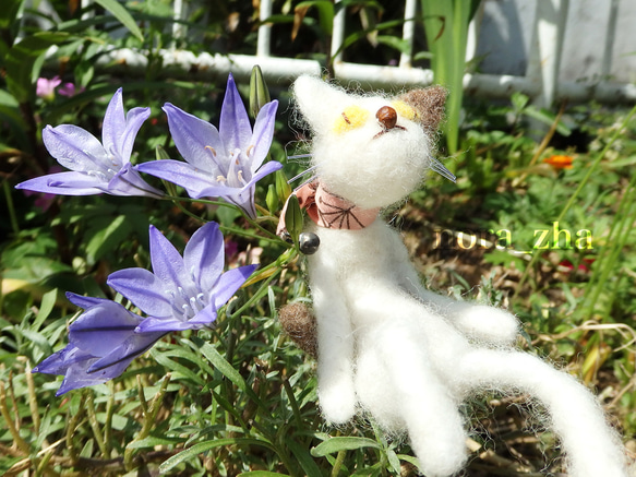 ぶちねこ 立体・オブジェ 青田蛙舎 通販 19440540｜Creema(クリーマ)