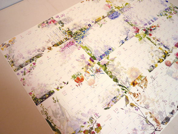 2026 大判カレンダーシート 【 Calendar of wildflowers and nuts 】 カレンダー SFF 通販 ...