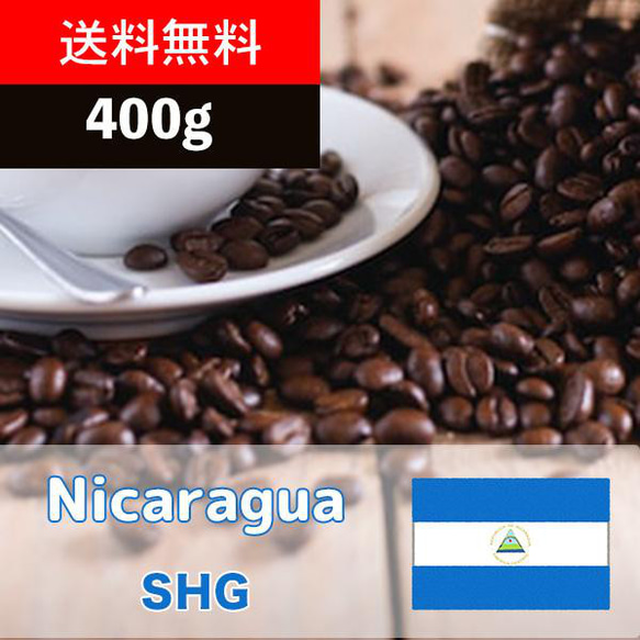 標高1500m超！ニカラグアSHGシングルオリジンコーヒー 400g【水洗式で芳醇な香り】 コーヒー・カフェオレ YHR-COFFEE 通販 19499626｜Creema(クリーマ)
