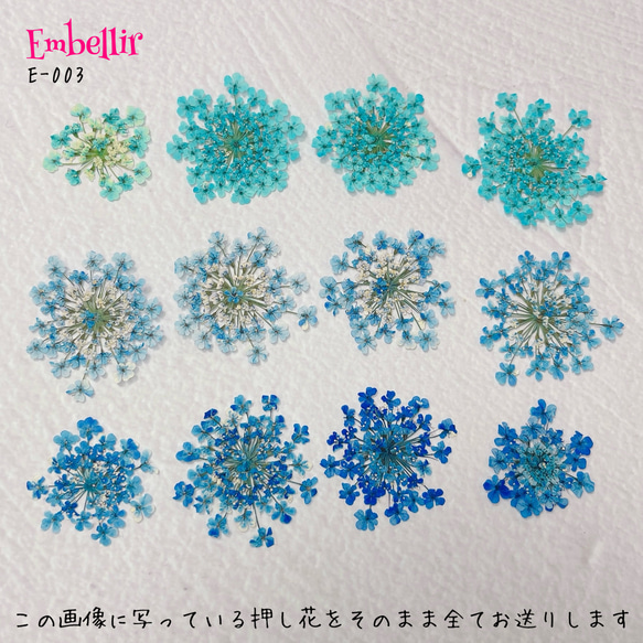 押し花 ブルー系12枚 E-003 その他素材 Embellir 通販 19513755｜Creema(クリーマ)