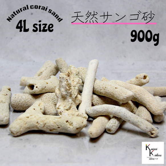 サンゴサービス 「フレッシュ活性サンゴ 4Lサイズ 900g」 サンゴ 天然珊瑚砂 coral 海水魚 観賞魚 レジン・樹脂 カイセイ加工透明屋パク 通販 19560393｜Creema(クリーマ)