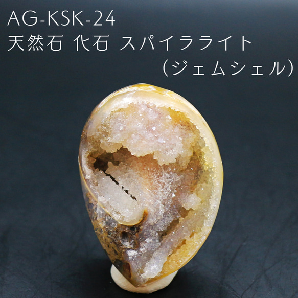 AG-KSK-24 天然石 化石 スパイラライト （ジェムシェル） 天然石 アラナヴ ジェムス 本館 通販 19579504｜Creema(クリーマ)