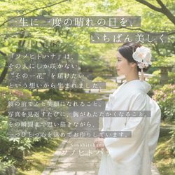 【成人式・卒業式・結婚式】金×黒 水引×パールの髪飾り｜振袖・袴・色打掛に KA-2504BL ヘッドドレス（アクセサリー） 髪飾り ソノヒト ...