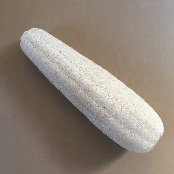 【信州産】ヘチマたわし 34cm 漂白済 1020#01 バス・トイレ・洗面用品 FARMFORM 通販 19974894｜Creema ...