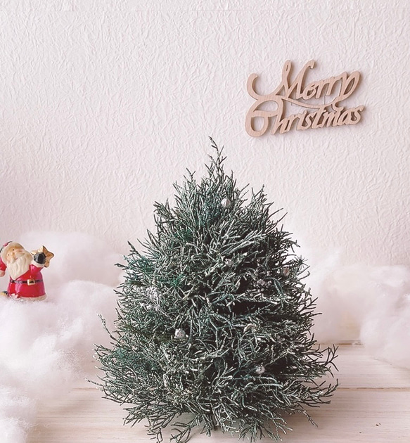 2025 Creema限定 「 ︎ホワイトクリスマス 2025 白いクリスマスツリー ︎」プリザーブ プリザーブドフラワー Floraison フロレゾン 通販 20034172｜Creema ...