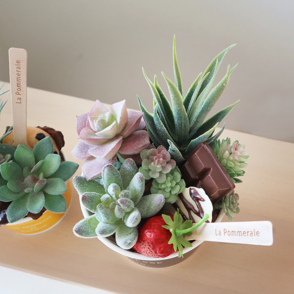 多肉植物のある風景 Ice Cream Arrangement ★フェイクグリーン★Large 多肉植物 La Pommeraie 通販 ...