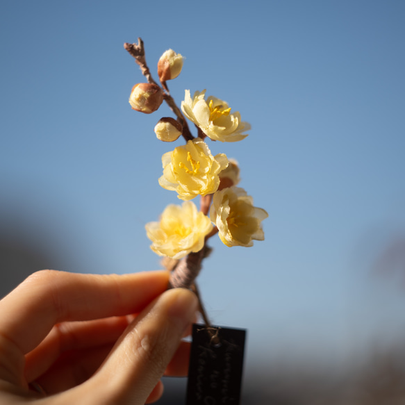 蝋梅 の 布花 ブローチ 2026 ブローチ くるみのこにわ 通販 20464145｜Creema(クリーマ) ハンドメイド・手作り・クラフト ...