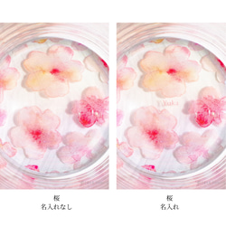 【名入れOK】底に水彩花｜花咲くグラス／菜の花・桜・チューリップ／AN825-nh グラス Tomi Glass 通販 20487279 ...