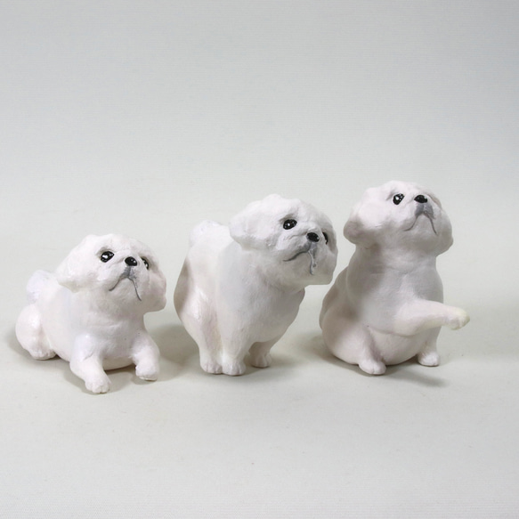 白ペキニーズ3匹のセット その他置物 Eishun えいしゅん 通販 7580957｜Creema(クリーマ)