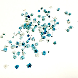 ☆かすみ草＊ドライフラワー＊空色☆ その他素材 かすみ草@3000円以上オマケ&送料無料 通販 2616230｜Creema(クリーマ)