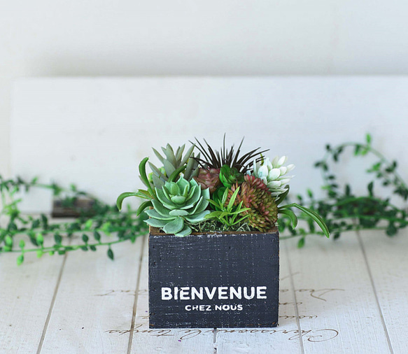 ナチュラルPOPな多肉寄せ植え（black) アートフラワー Laurel 通販｜Creema(クリーマ) 5679341