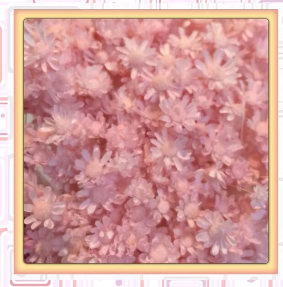 スターフラワー ブライダルピンク 30輪 その他素材 floral house 凛 通販 4238525｜Creema(クリーマ)