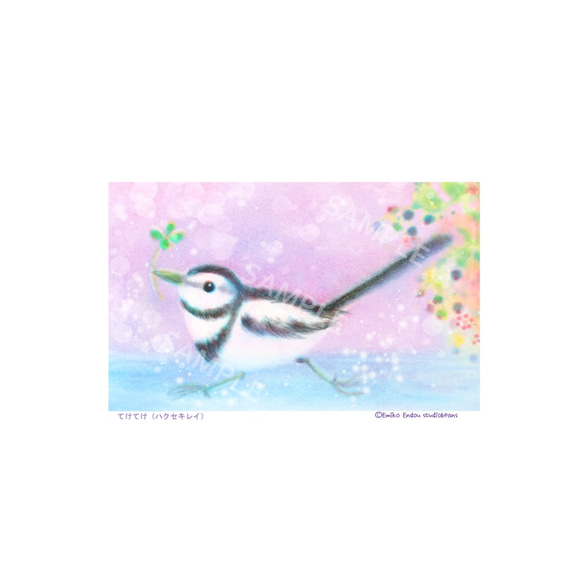 【選べるポストカード5枚セット】No.10 てけてけ(ハクセキレイ) イラスト スタジオびーんず 通販｜Creema(クリーマ) 7142019