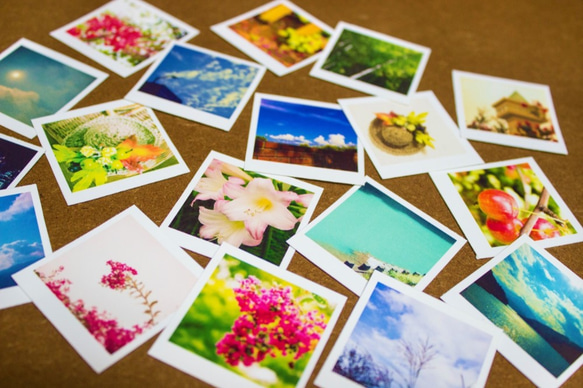 ポラロイドとスクエア写真を融合させた18枚の小さい写真 フィルム写真シリーズ 写真・グラフィック Marina 通販｜Creema(クリーマ ...