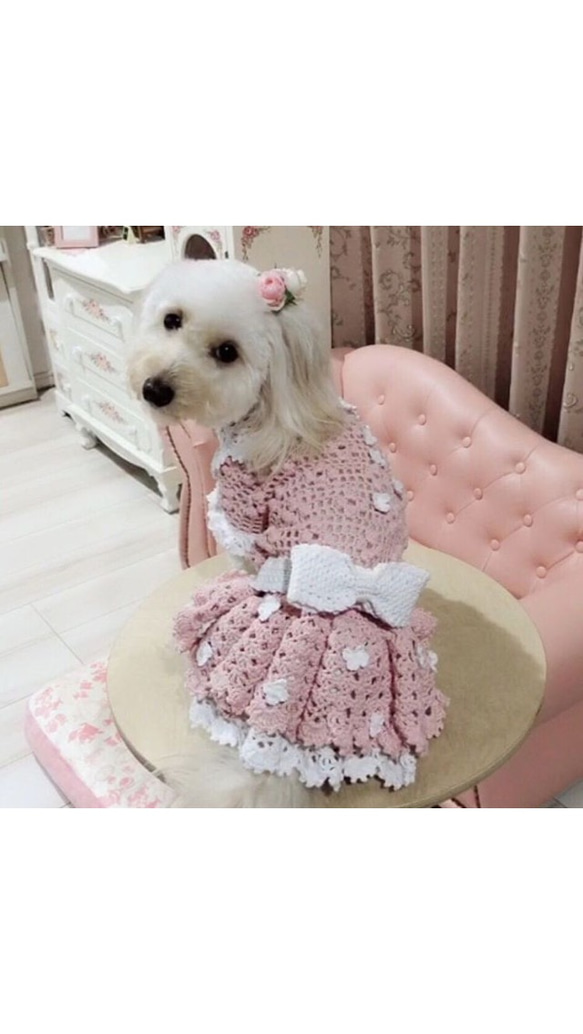 大きなおリボンのワンピース ペット服・アクセサリー 編み物屋さん 通販｜Creema(クリーマ) 5620130