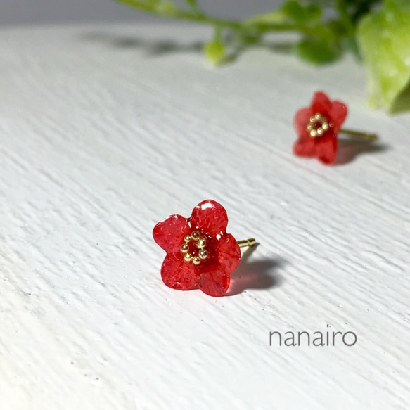 【再々…販】小さな押し花のピアス/イヤリング ピアス（スタッド・一粒） nanairo 通販 3239110｜Creema(クリーマ)