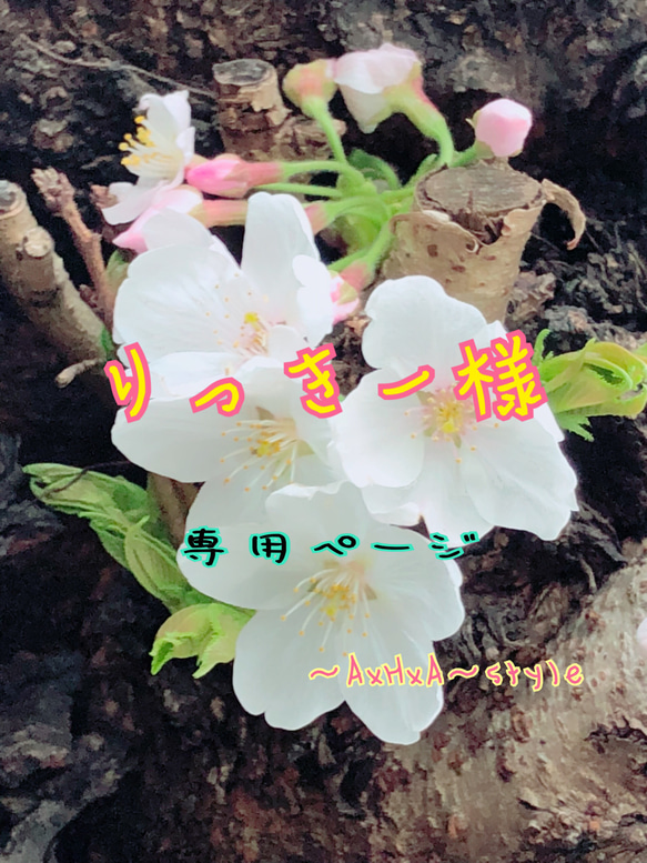 りっきー様 樹脂・レジン ～AxHxA～style 通販 5692104｜Creema(クリーマ)