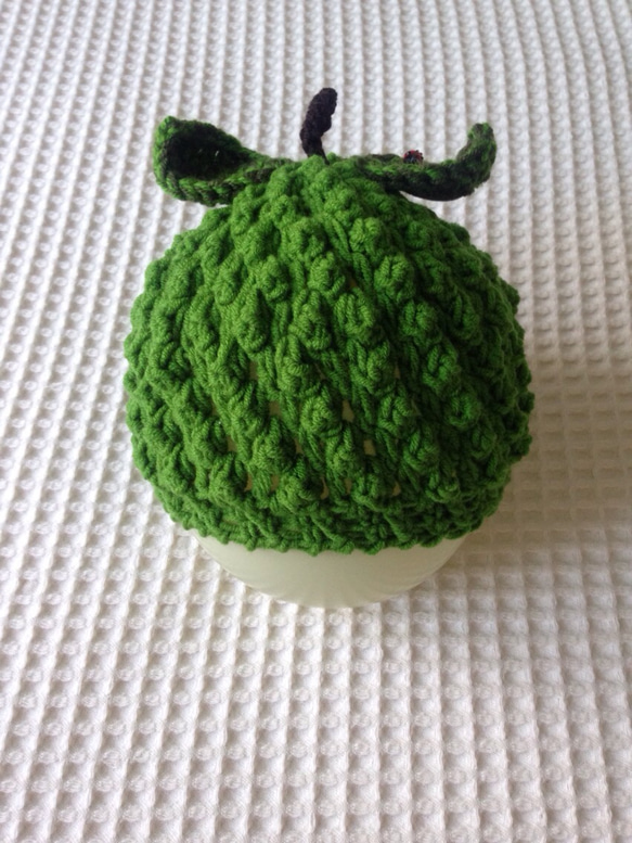 フルーツ帽（リニューアル青リンゴ） 帽子(ベビー・キッズ) efendi 通販 5086290｜Creema(クリーマ)