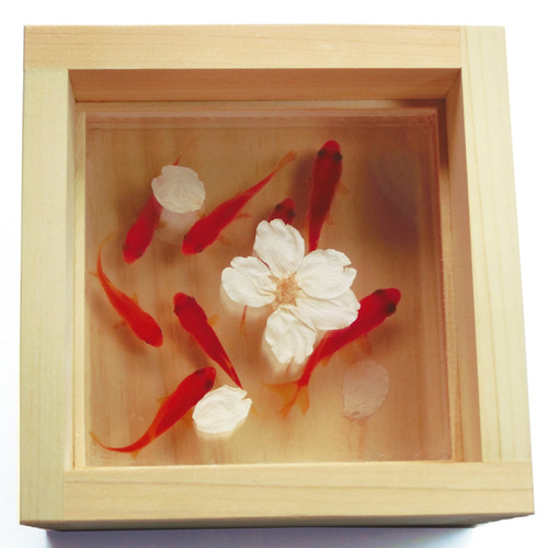 金魚アート 「桜」2 さくら プリザーブドフラワー 【プレゼント 金魚アート 「桜」2 さくら プリザーブドフラワー 【プレゼント