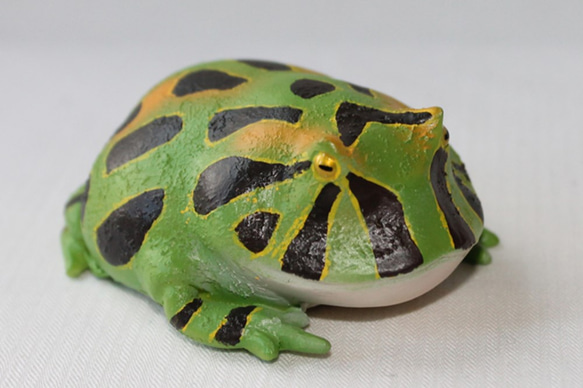 ツノガエル －ペーパーウェイトー その他雑貨 craftsfarm 通販 7076444｜Creema(クリーマ)