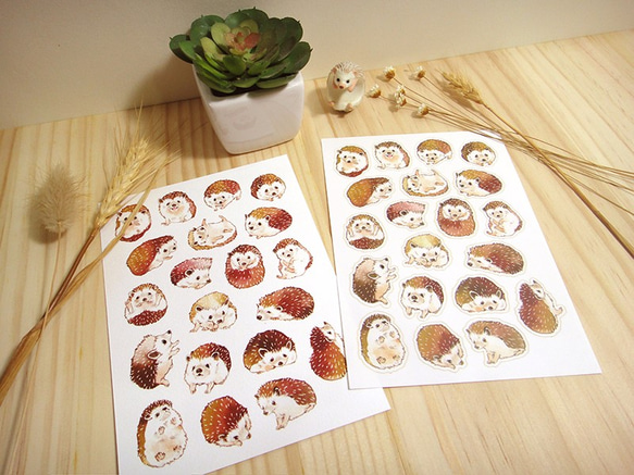 歪のスタジオ-ハリネズミ+リスの組み合わせステッカーパック（ポストカードを含む） シール・ステッカー Yshi 通販 4612331 ...