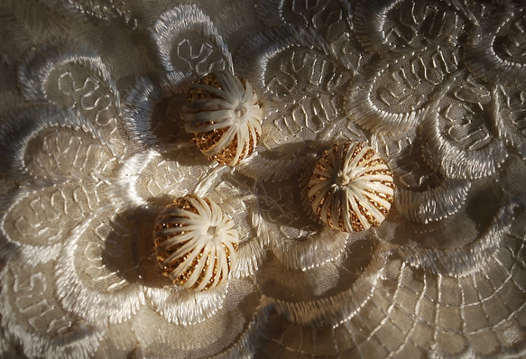 ドイツアンティークボタン 【DBUTM 01】 ボタン Meer Tropfen 通販 4908861｜Creema(クリーマ)