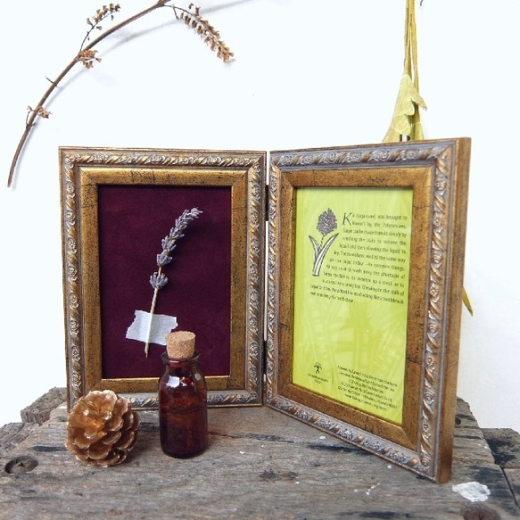 3way ＊フォトフレーム トレイ＊写真立てL判・アンティーク調G フォトフレーム・写真立て nomizu.gagu 通販 4936016 ...